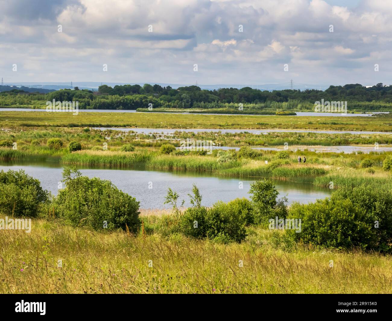 Swillington nature reserve hi-res stock photography and images - Alamy