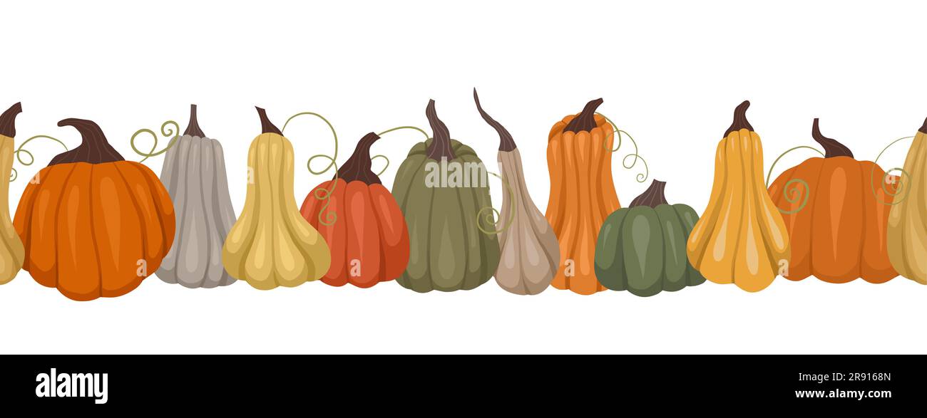 Vector seamless border with pumpkins. Autumn frieze with vegetables ...