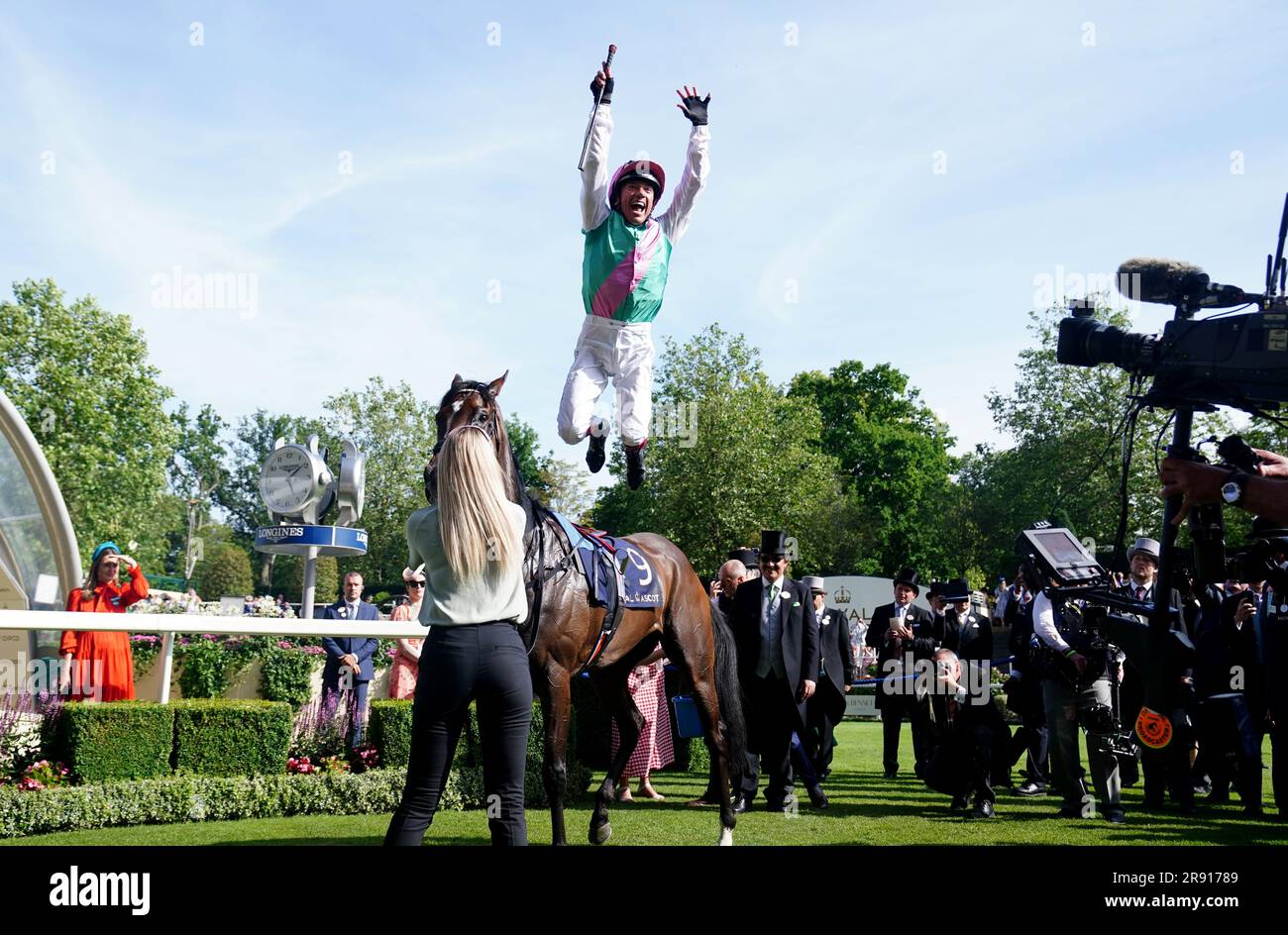 Coppice horse hi-res stock photography and images - Alamy