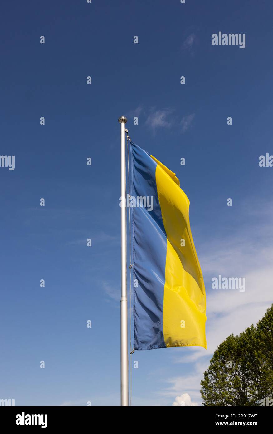 large Ukrainian yellow and blue flag flutters against tsky Stock Photo ...