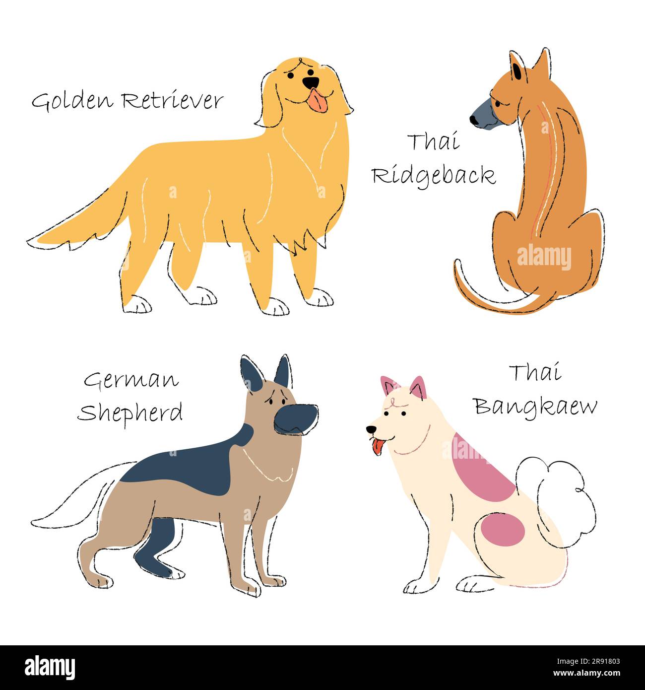 Breeds Dog Drawing at Jackie Roberts blog
