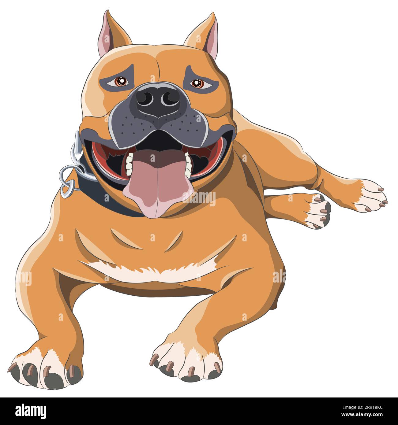 Red Staffordshire Terrier in a collar isolated on a white background ...