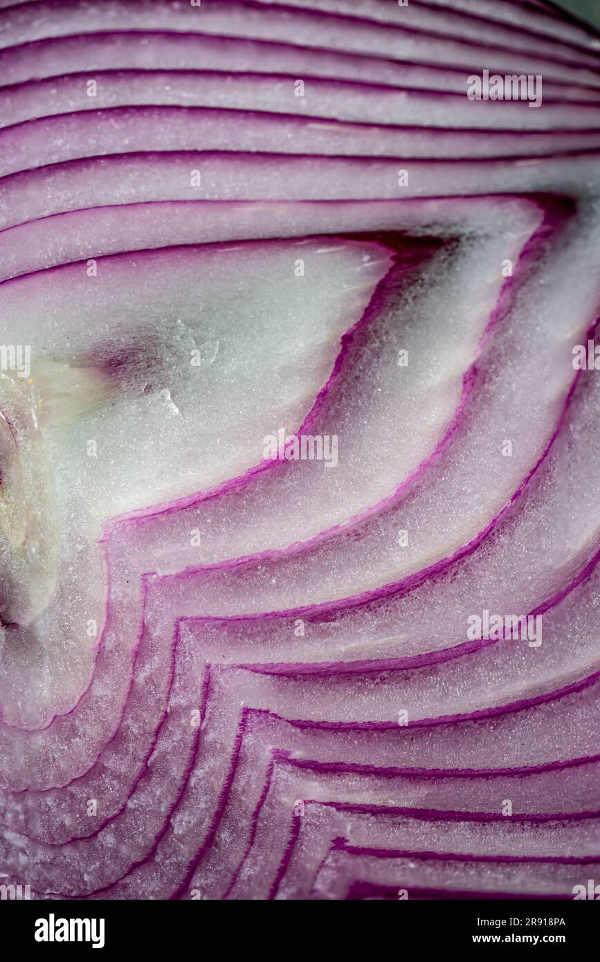 Red onion peeled and cut. Extreme close up. Macro shot Stock Photo - Alamy
