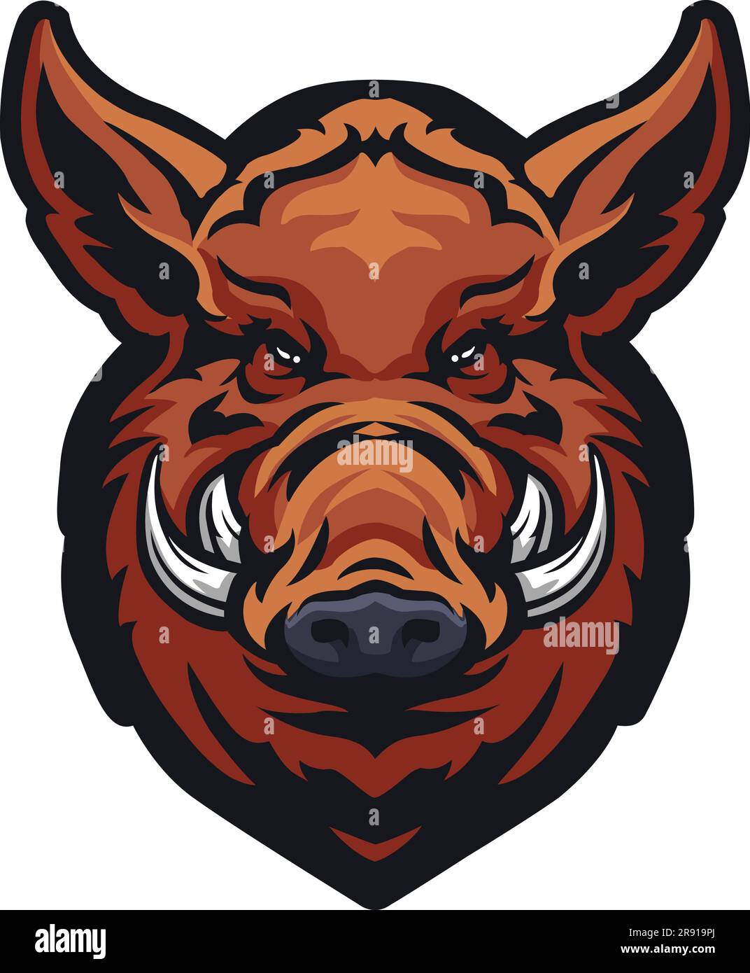 Wild boar skull Stock Vector Images - Alamy