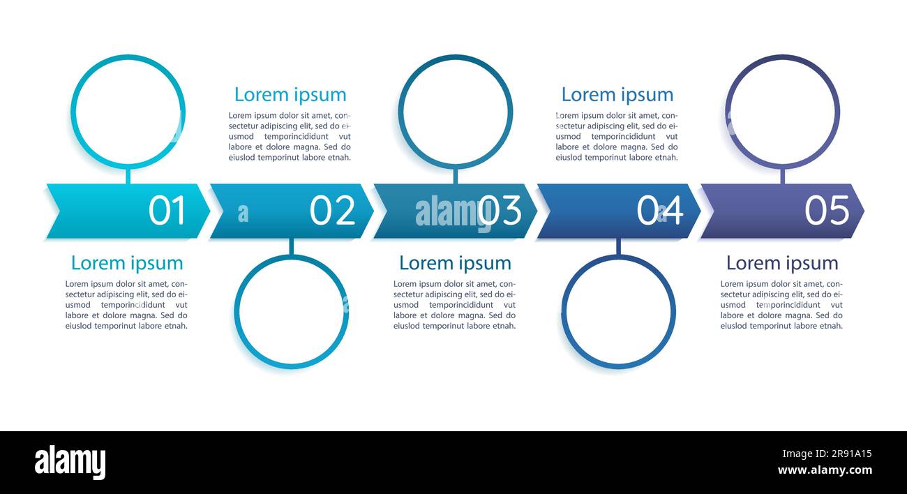 Business blue infographic chart design template Stock Vector Image ...
