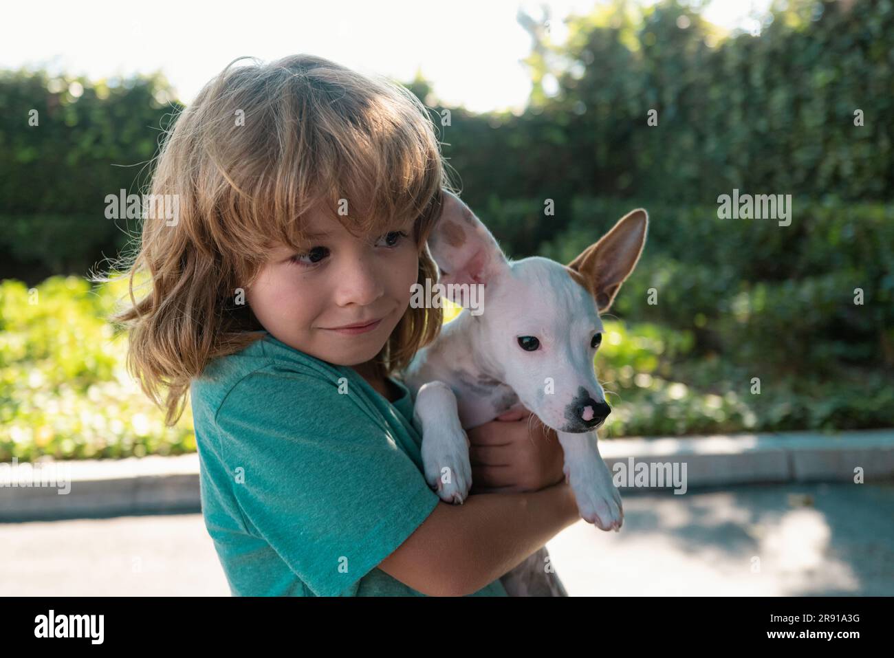 Portrait of a child boy plays with a dog outdoor. Child lovingly ...