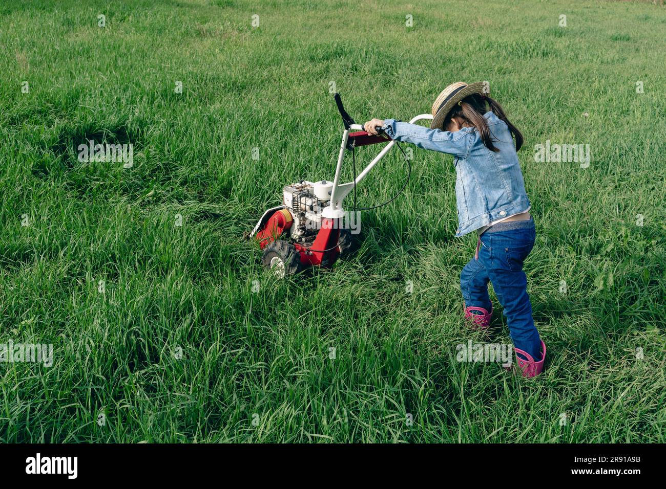 A small cute girl pushing a lawnmower on a vast grassy field Stock ...