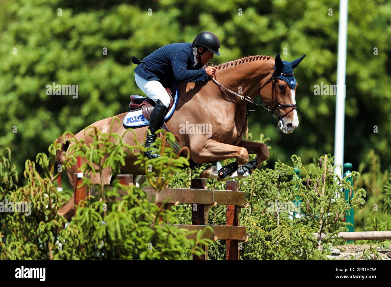 Van de kruishoevev hi-res stock photography and images - Alamy