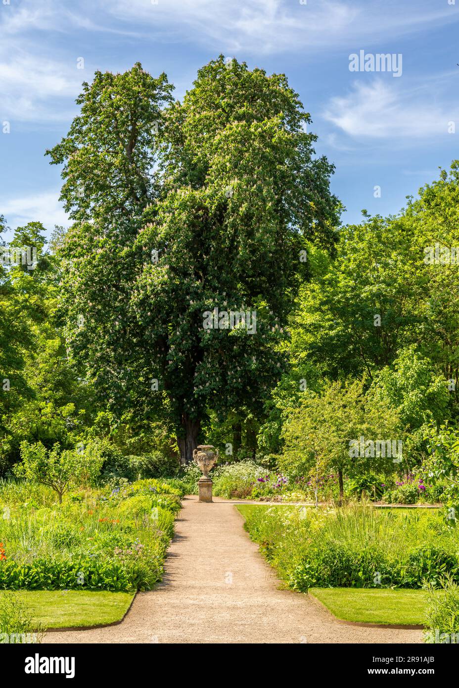 Natural beauty of Oxford Botanic Garden in summer Stock Photo - Alamy