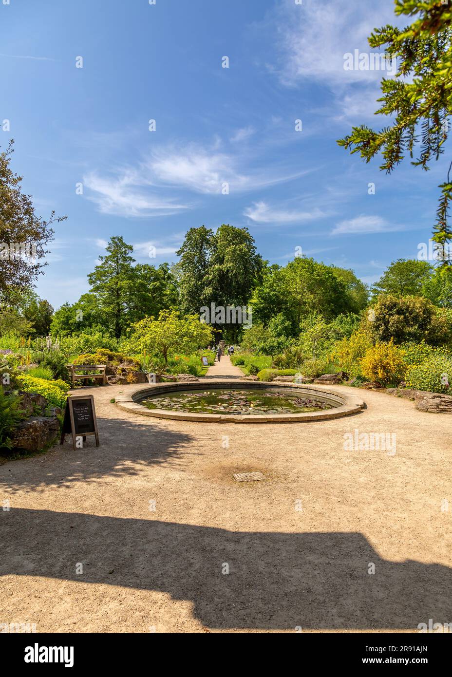 Natural beauty of Oxford Botanic Garden in summer Stock Photo - Alamy