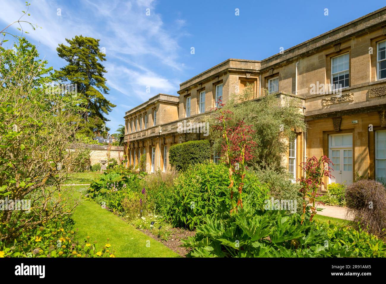 Natural beauty of Oxford Botanic Garden in summer Stock Photo - Alamy