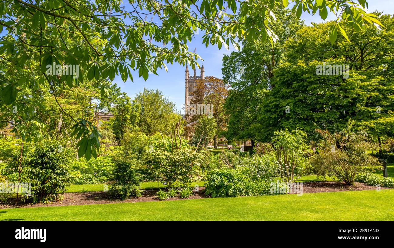 Natural beauty of Oxford Botanic Garden in summer Stock Photo - Alamy
