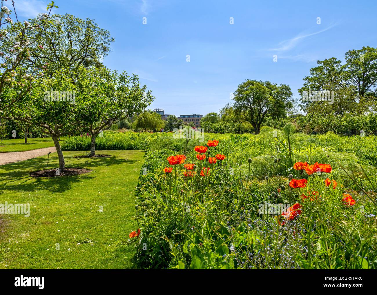 Beauty of oxford hi-res stock photography and images - Alamy