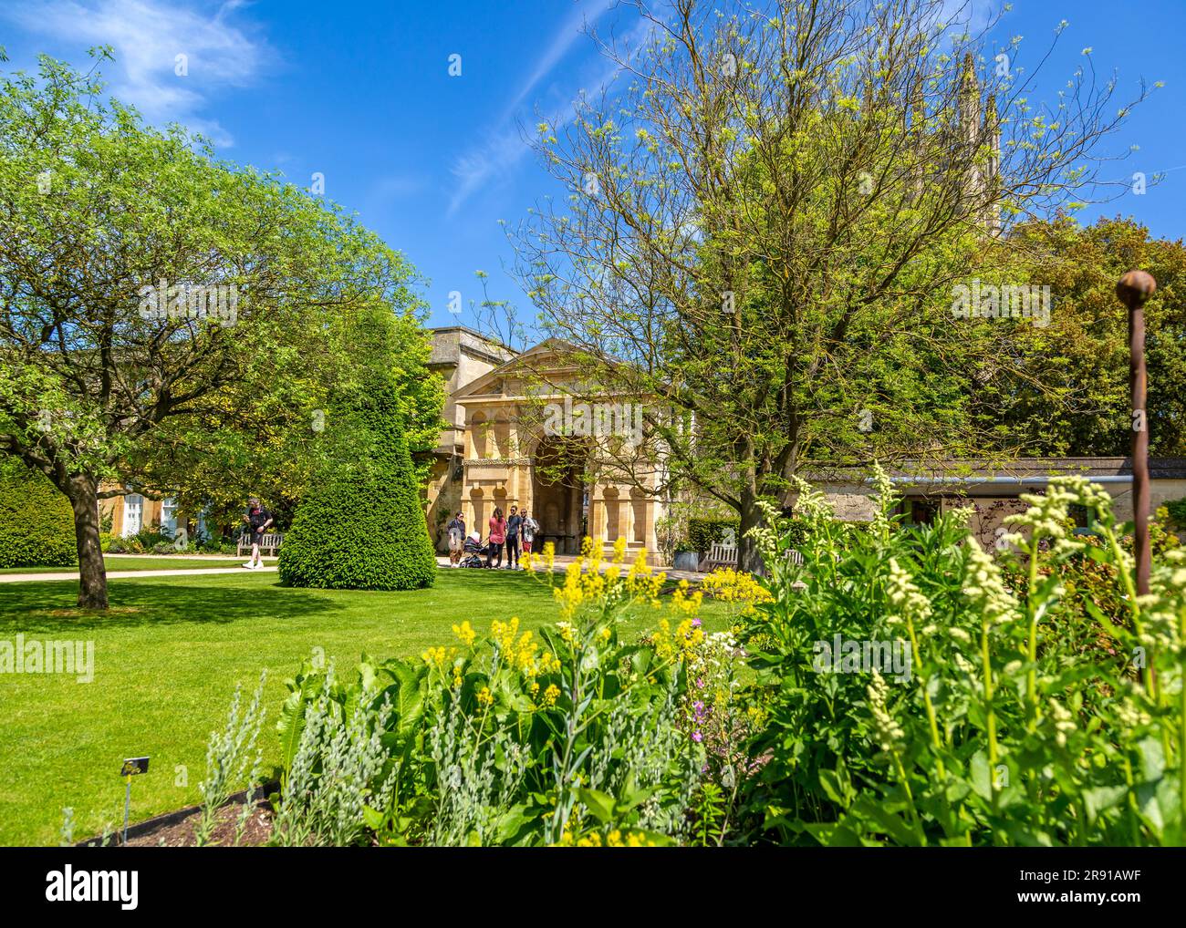 Natural beauty of Oxford Botanic Garden in summer Stock Photo - Alamy