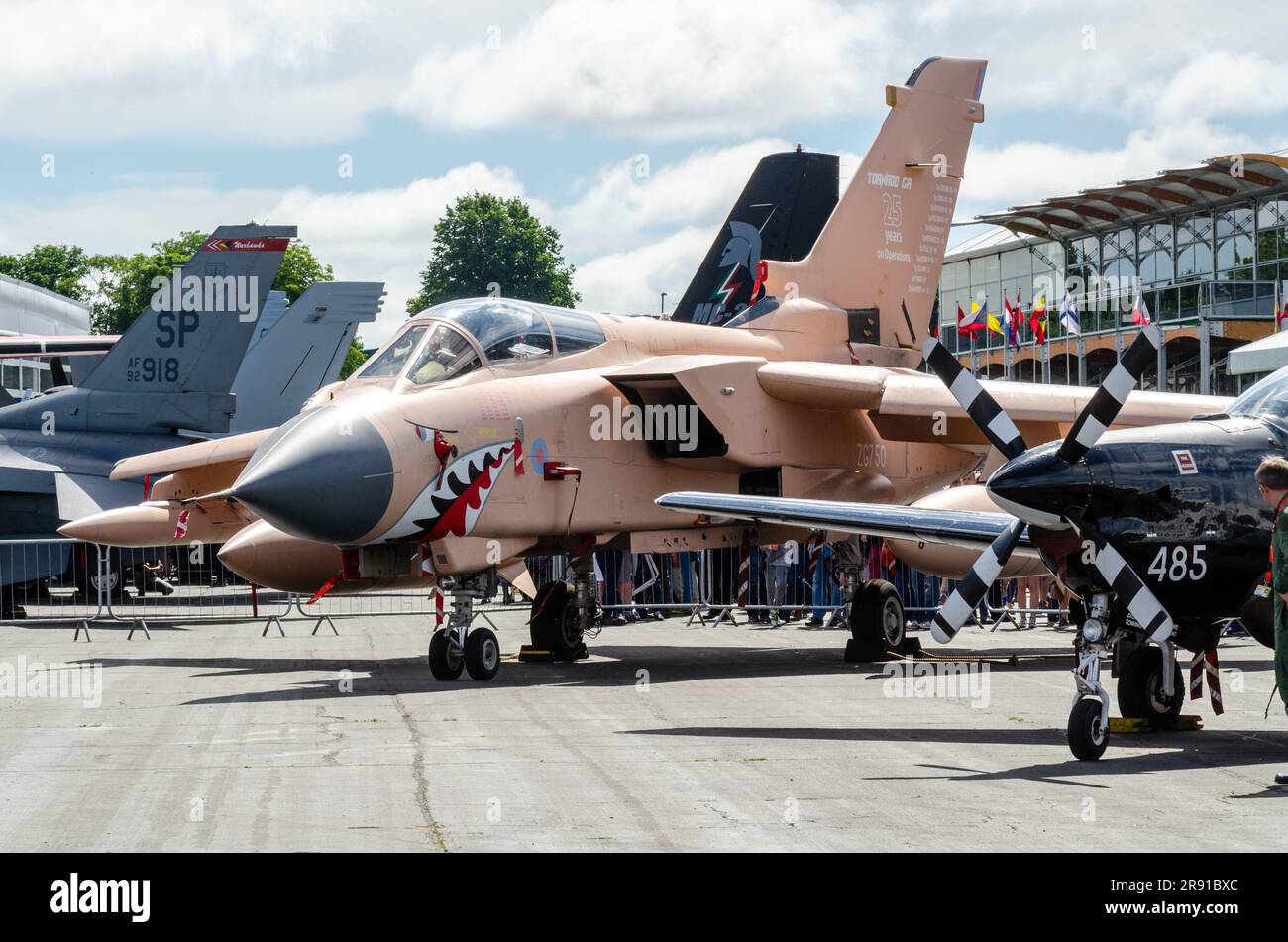 RAF Panavia Tornado GR4 in Gulf War desert pink special colour scheme ...