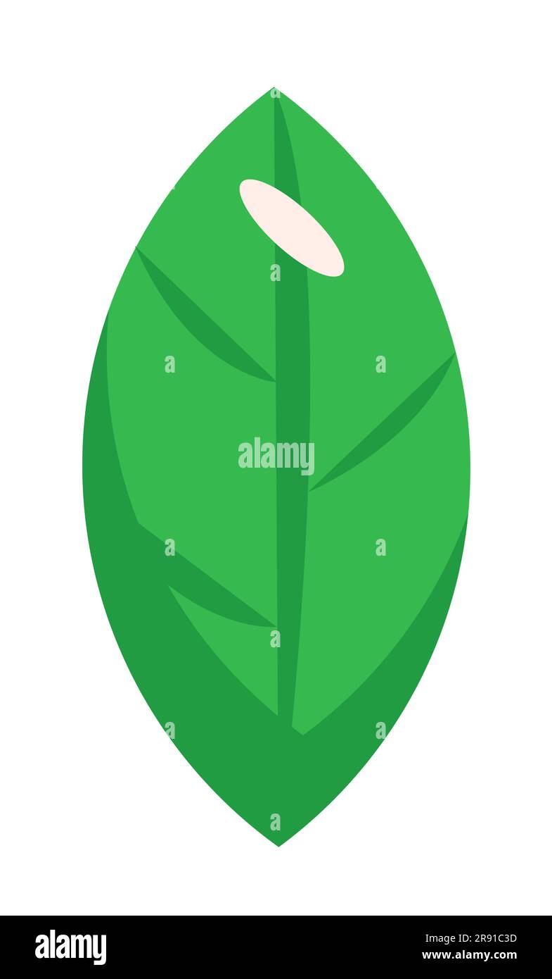 Sustainable green border Stock Vector Images - Alamy