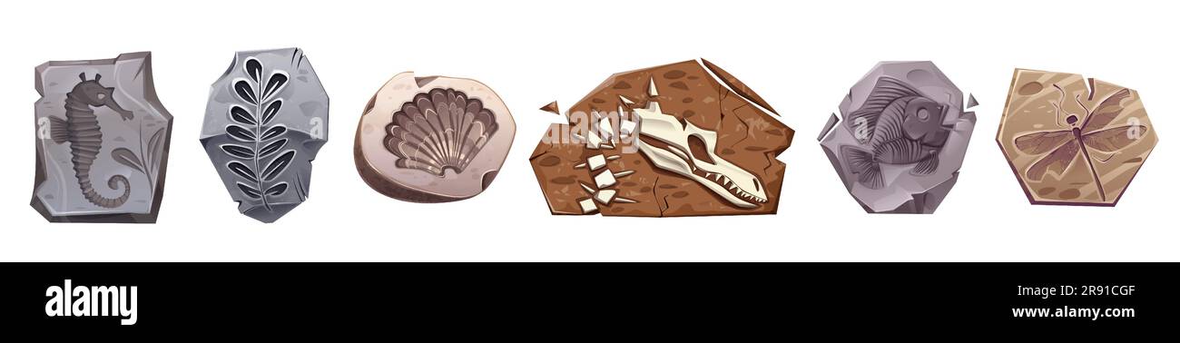 Fossil dinosaur archaeology stone vector icon set. Sea animal and ...