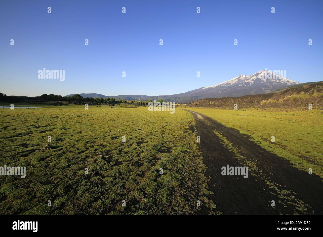 Photo of Parque Nacional Conguillo Chile Stock Photo - Alamy