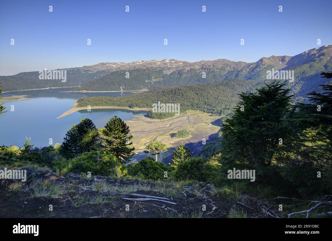 Parque Nacional Conguillo Chile Stock Photo - Alamy