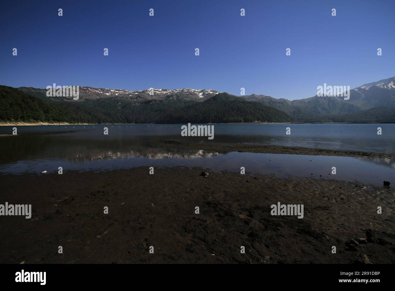 Photo of Parque Nacional Conguillo Chile Stock Photo - Alamy