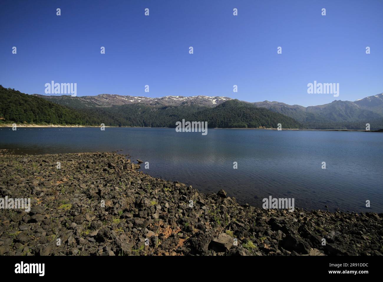 Photo of Parque Nacional Conguillo Chile Stock Photo - Alamy
