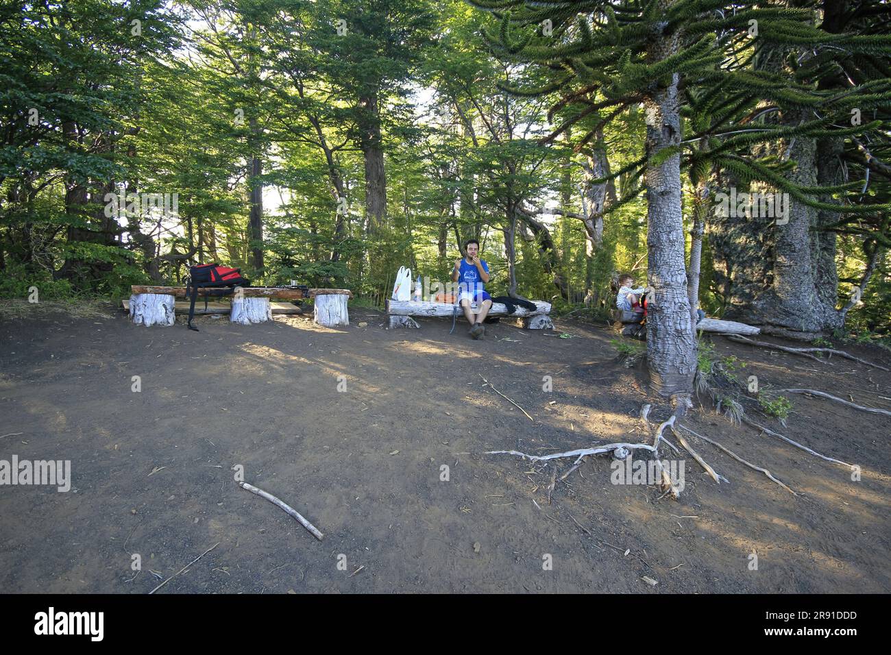Photo of Parque Nacional Conguillo Chile Stock Photo - Alamy