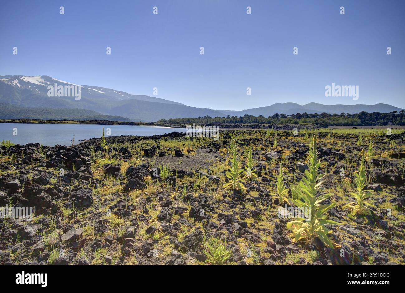 Parque Nacional Conguillo Chile Stock Photo - Alamy