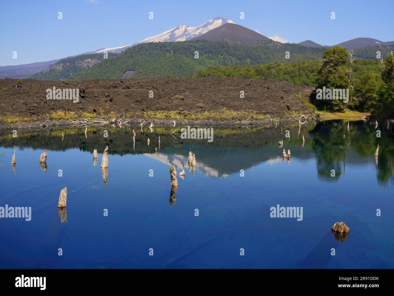 Photo of Parque Nacional Conguillo Chile Stock Photo - Alamy