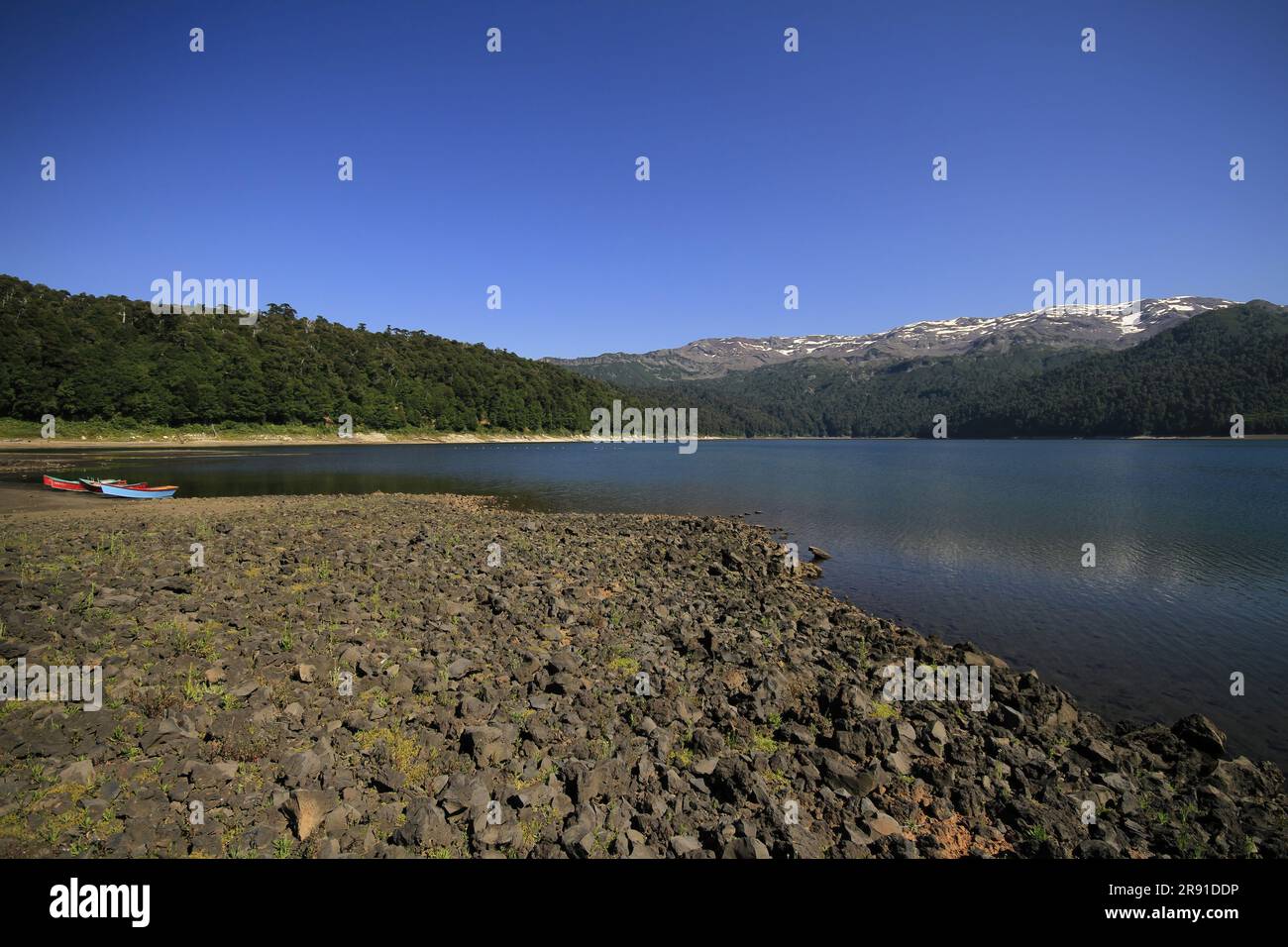 Photo of Parque Nacional Conguillo Chile Stock Photo - Alamy