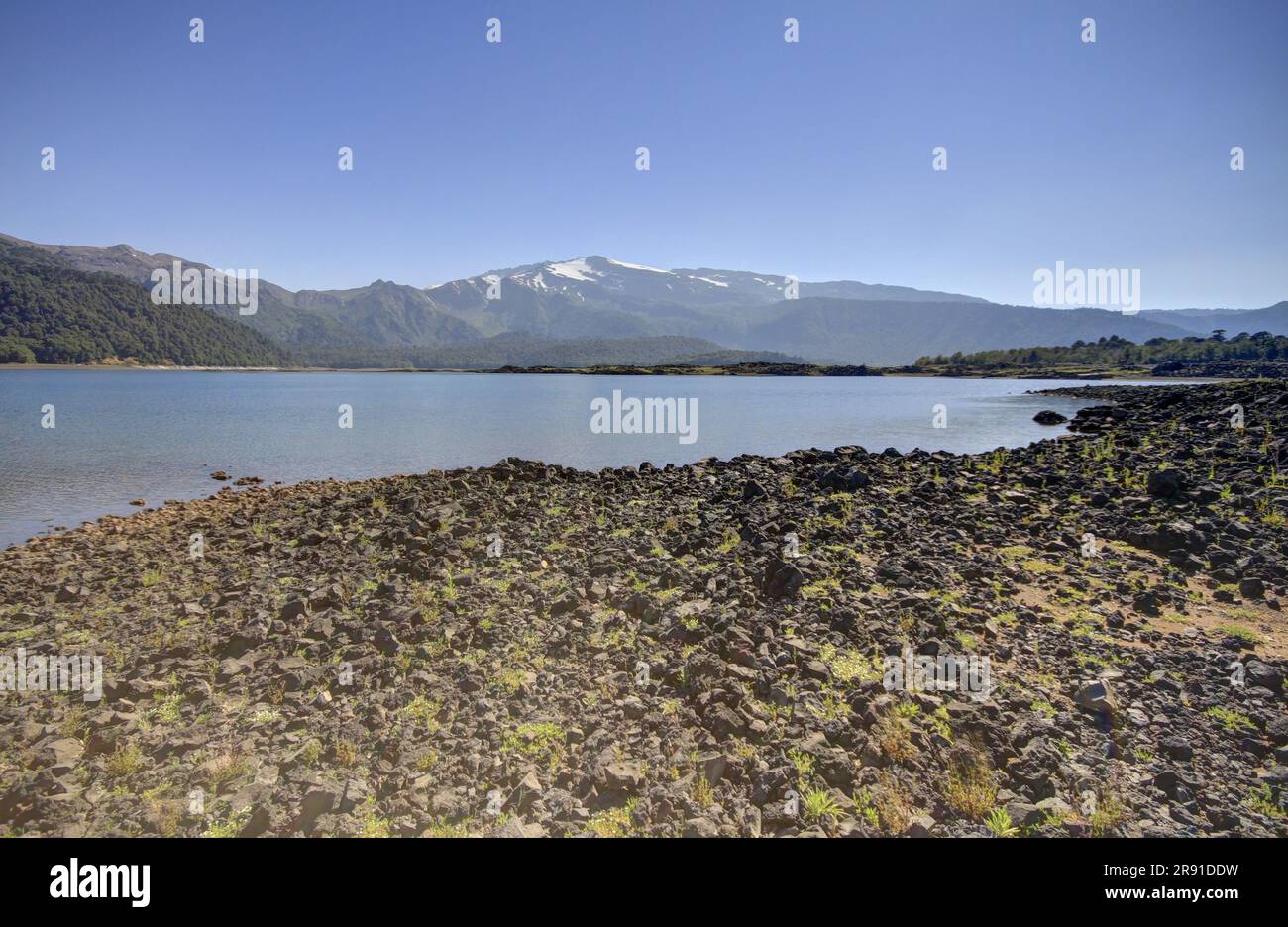 Parque nacional conguillo hi-res stock photography and images - Alamy