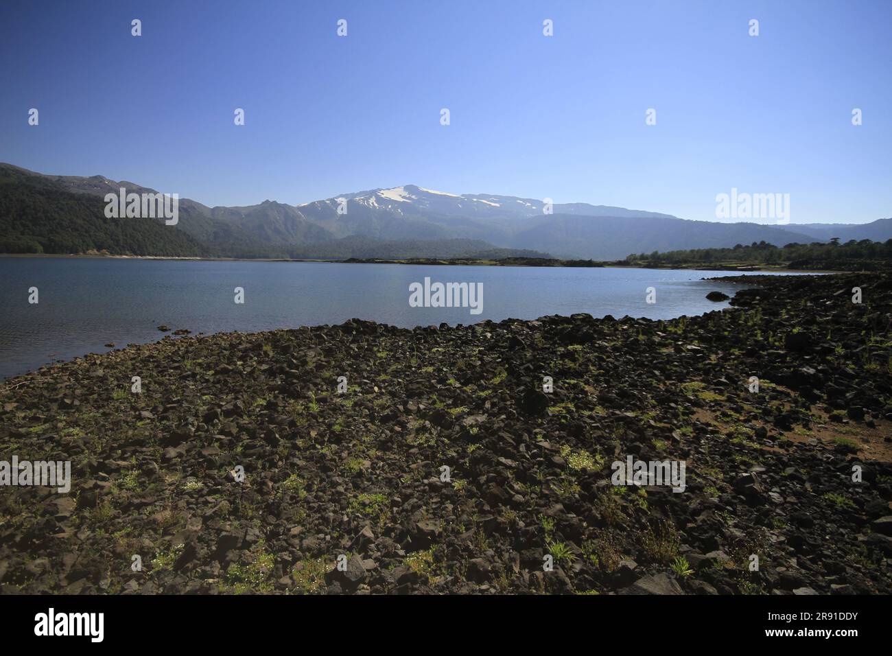 Conguillo national park hi-res stock photography and images - Alamy