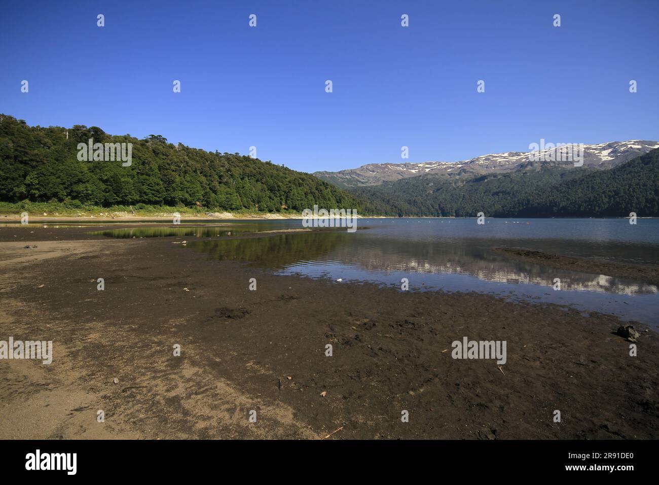 Photo of Parque Nacional Conguillo Chile Stock Photo - Alamy