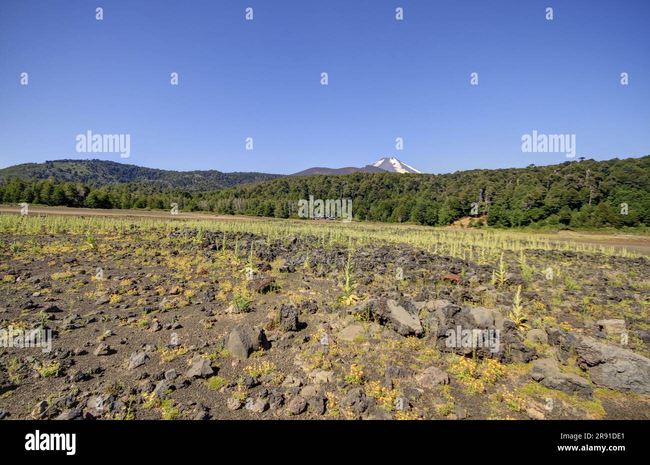 Parque Nacional Conguillo Chile Stock Photo - Alamy