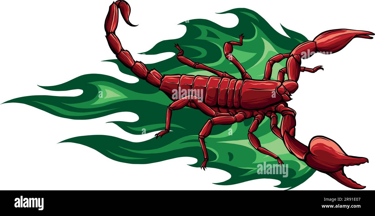 vector illustration of scorpion with flames design Stock Vector Image ...