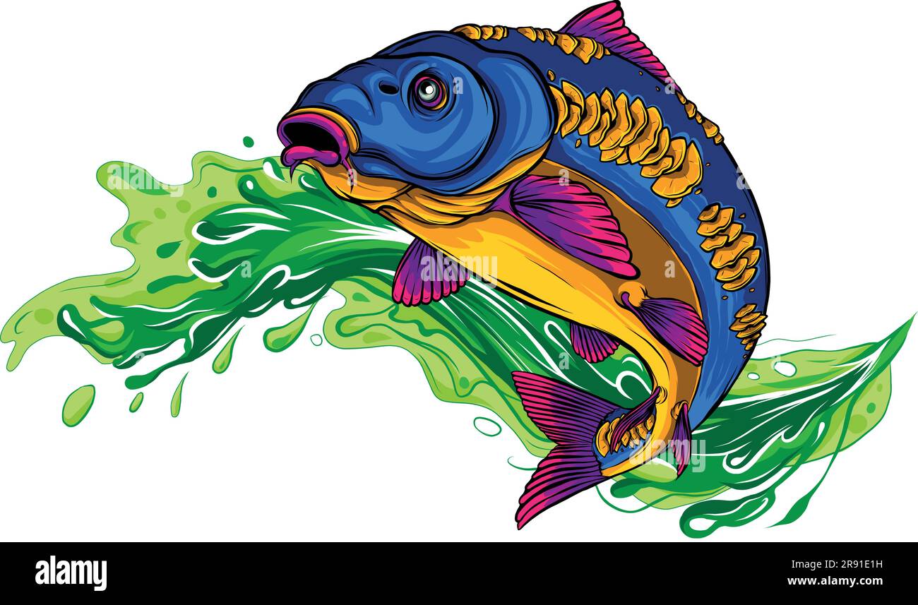 vector illustration of carp with splashing water Stock Vector Image ...
