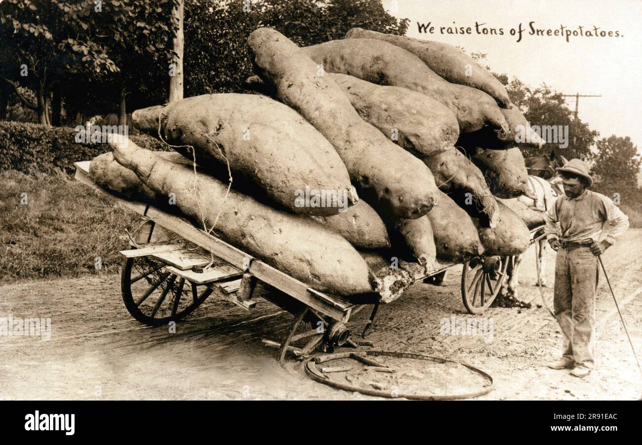 Minnesota: c. 1909. A farmer next to his broken down wagon with a load ...