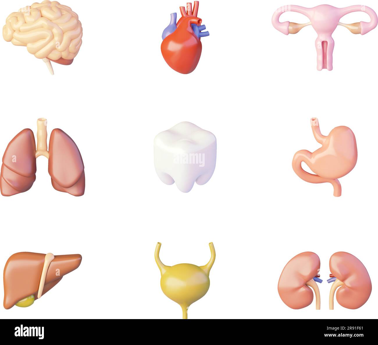 Vector human internal organs icon set. Brain, lungs, heart, stomach ...