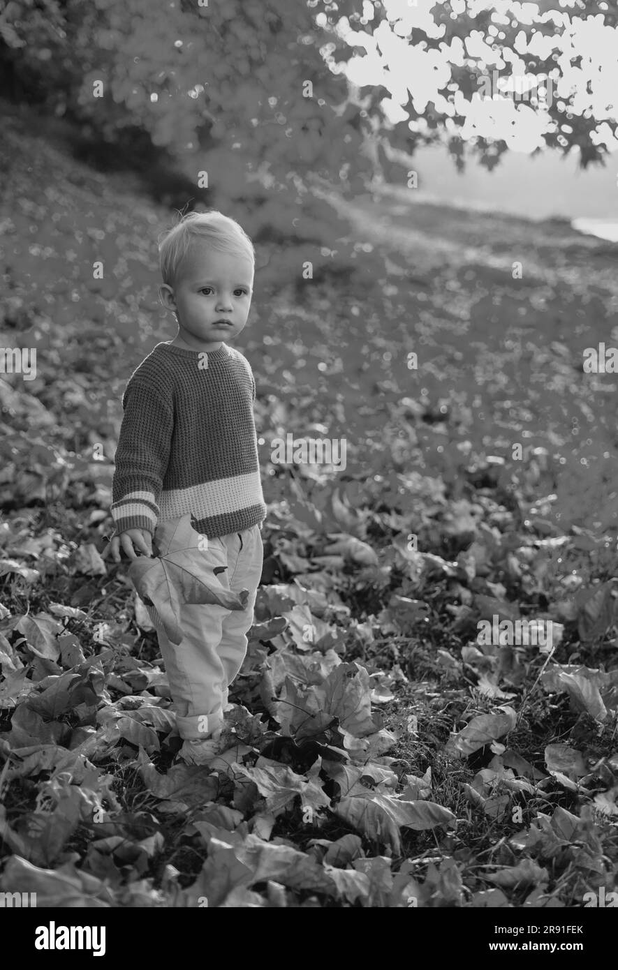 Cute little baby girl having fun on beautiful fall day. Child playing ...