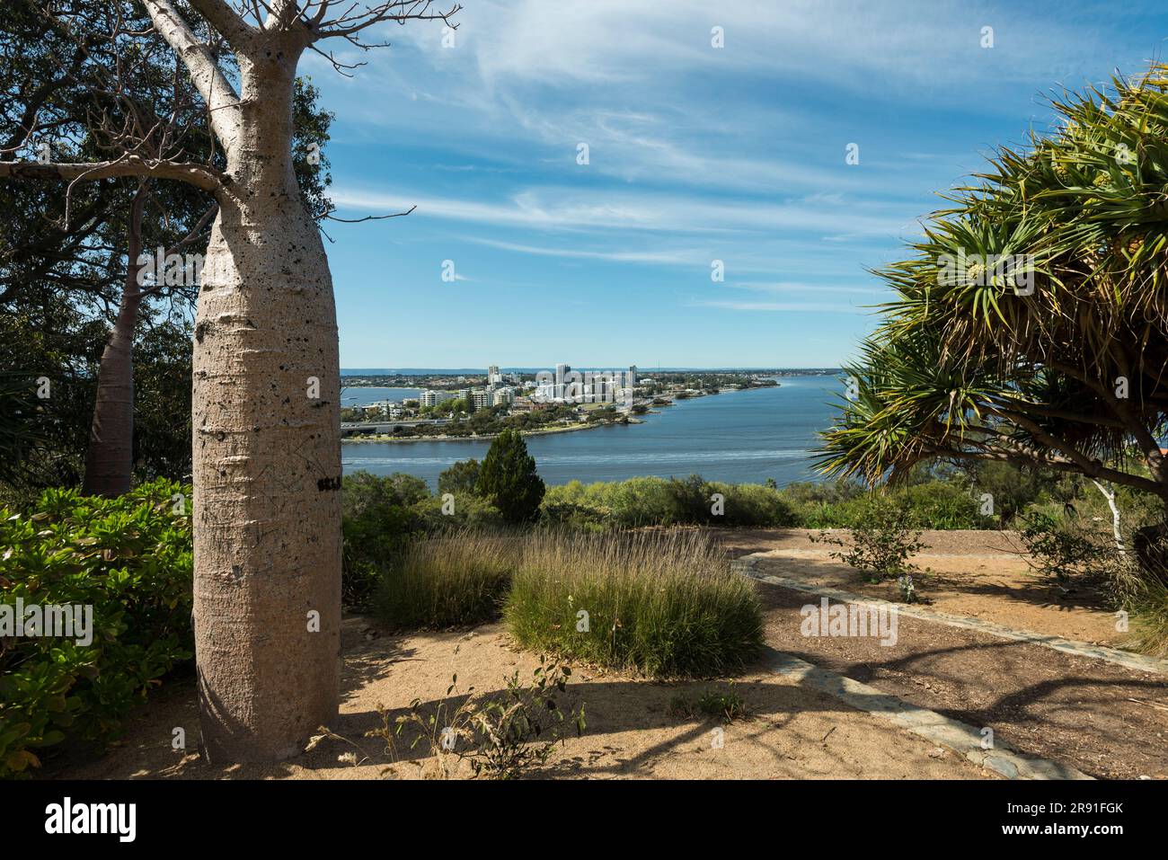 View of the city of Perth as seen from Kings park Botanical Gardens ...