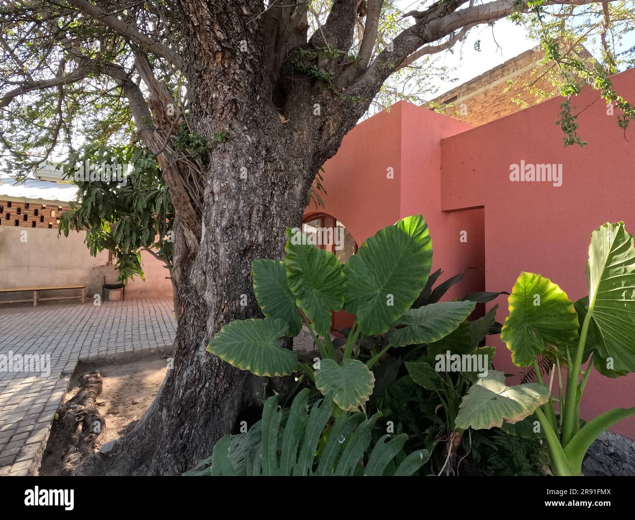Mexican contemporary architecture hi-res stock photography and images ...