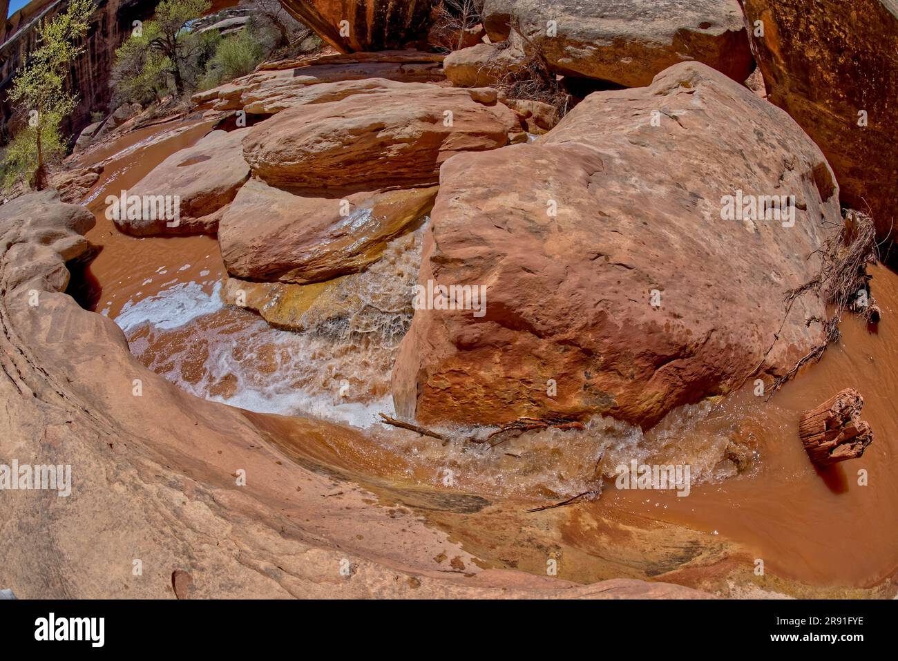 A small waterfall near Kachina Bridge in Deer Canyon at Natural Bridges ...