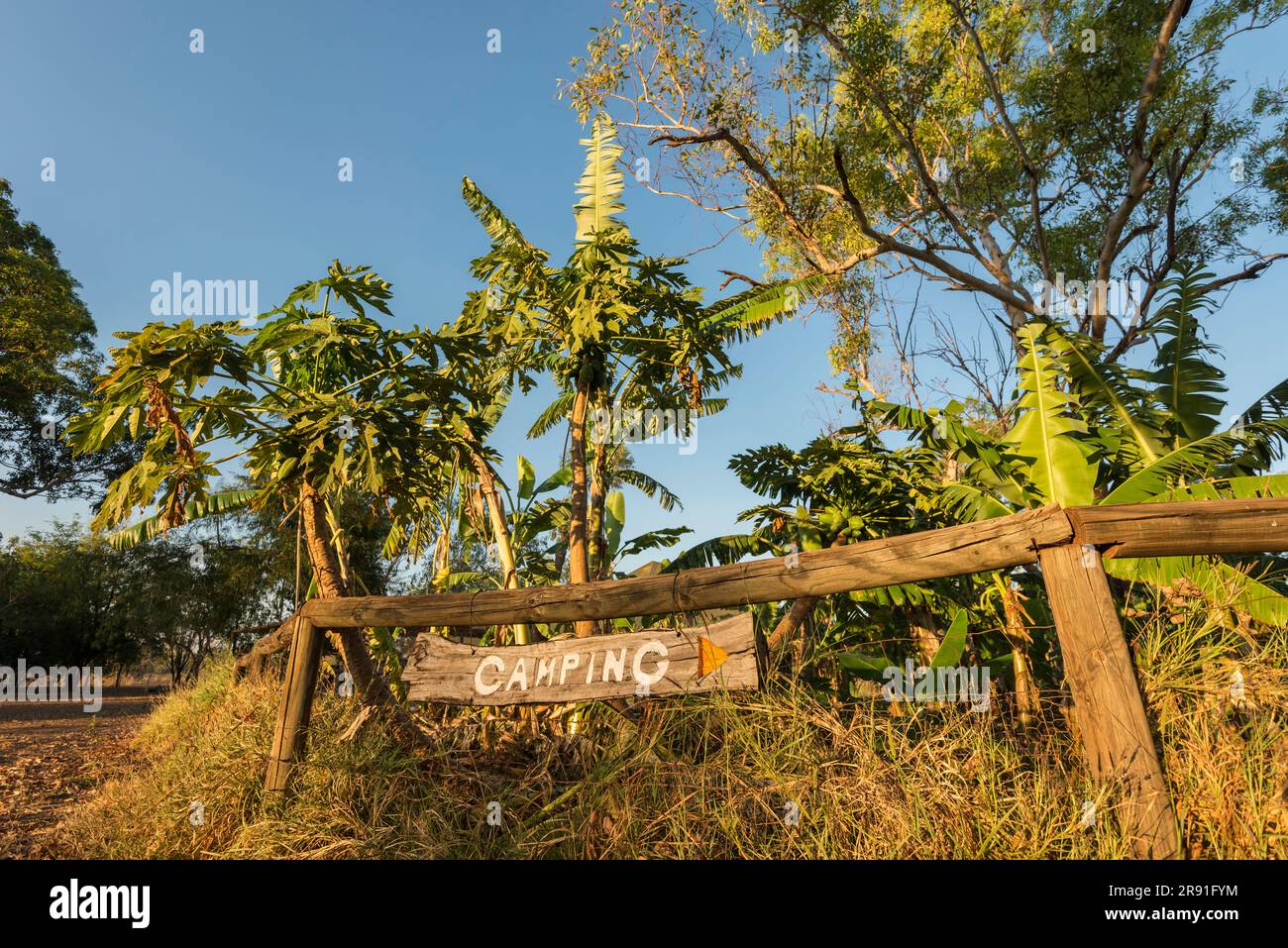 A hand written camping sign on a rustic wooden board at a farm camp ...