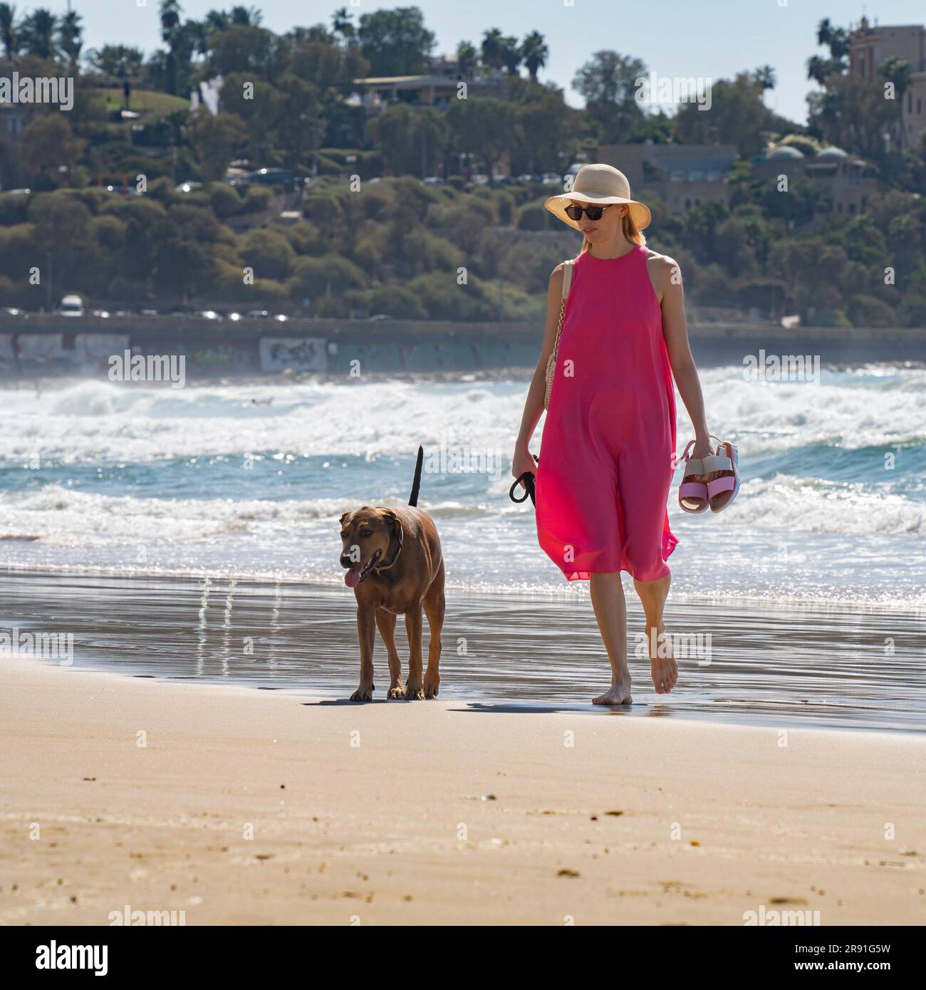 Tel Aviv, Israel - September 15th, 2022: A woman walking with her dog ...