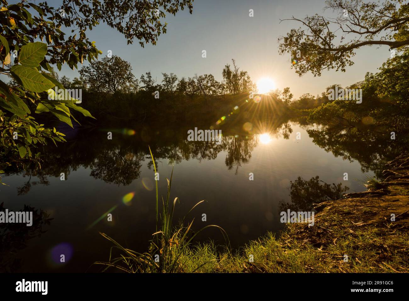 Beautiful views of the nature near the Chamberlain river at a camping ...