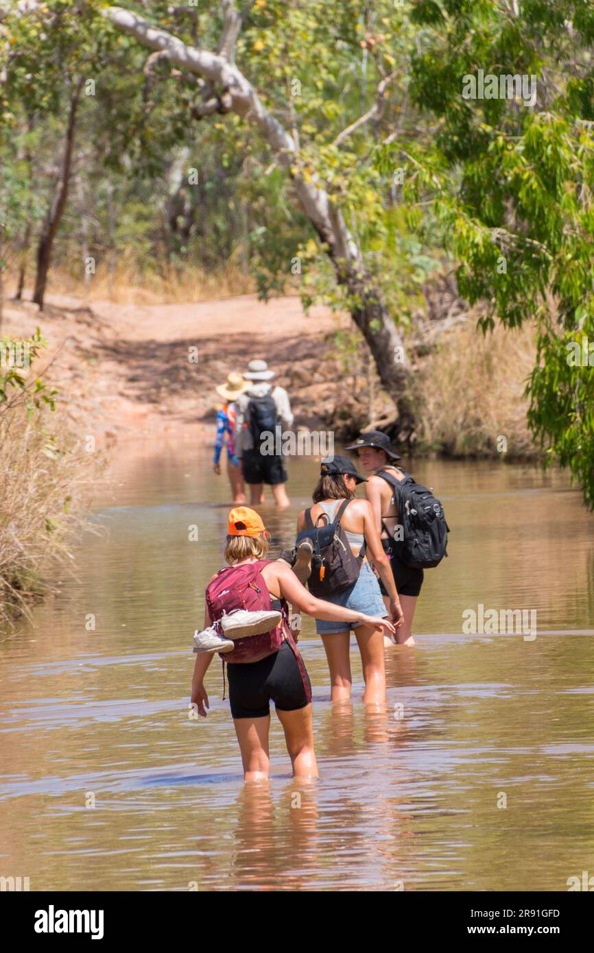 A group of tourists wade through a flooded track to a tourist sight in ...