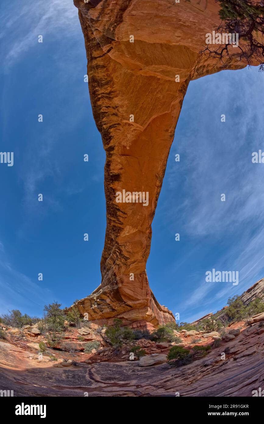 The Owachomo Bridge at Natural Bridges National Monument Utah. The name ...