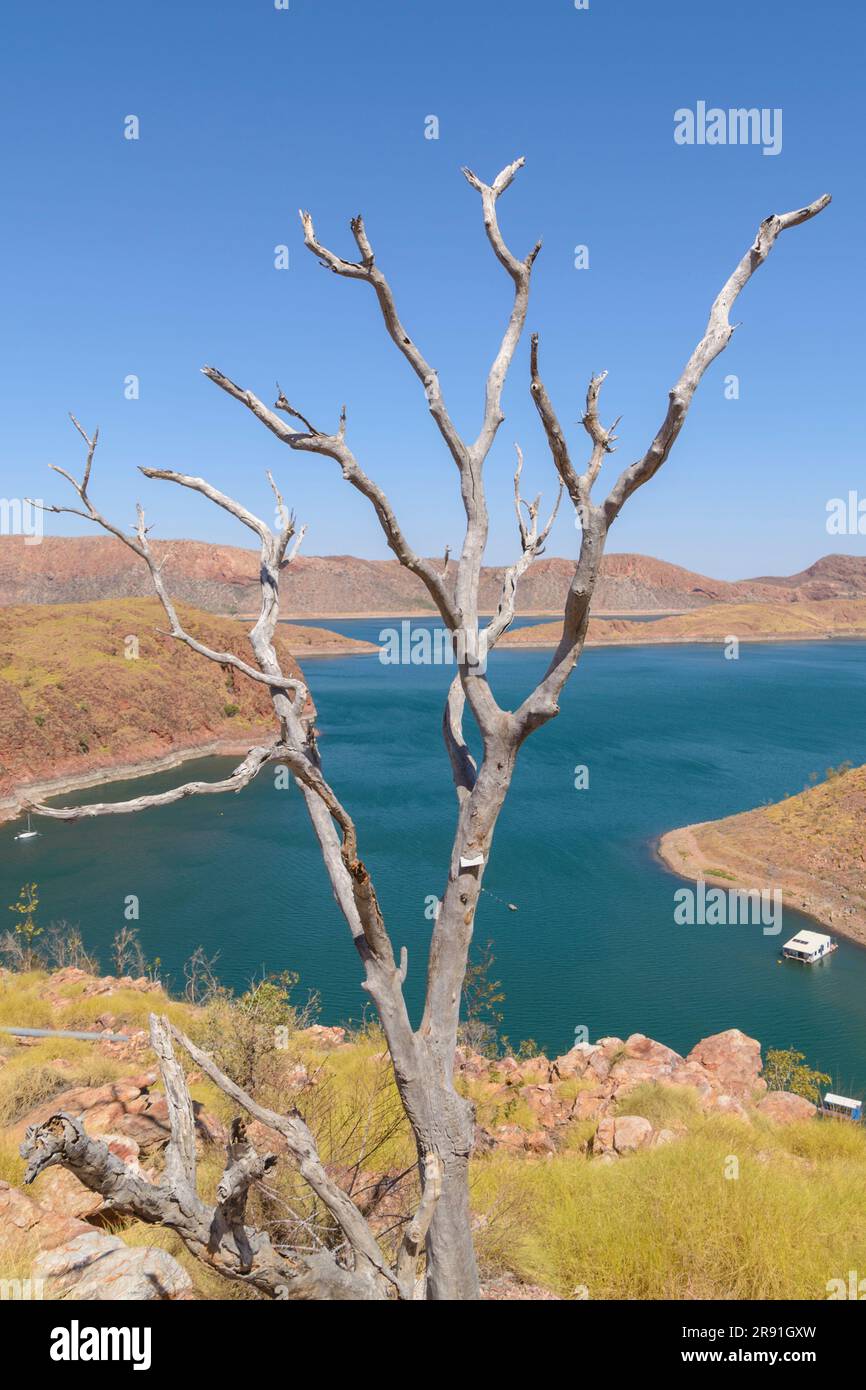 A lone dead tree overlooks Lake Argyle Dam near Kununurra in Western ...