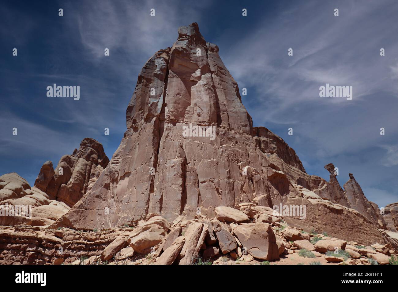 Ecosystem pyramid hi-res stock photography and images - Alamy
