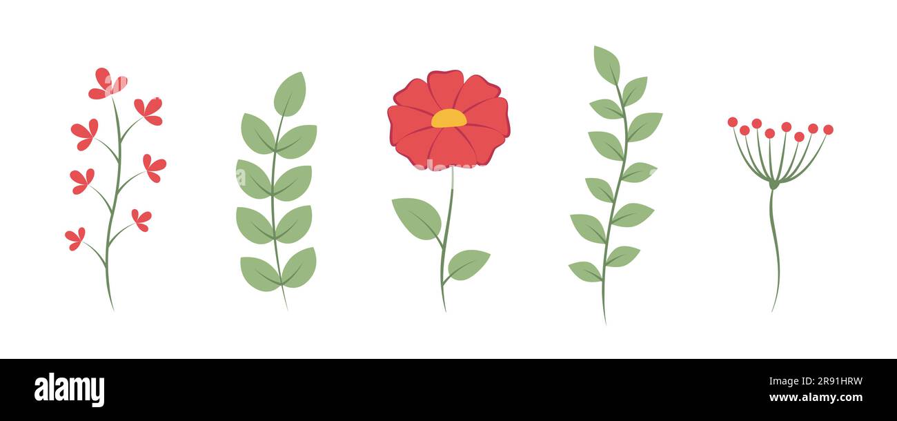 Tendril flower Cut Out Stock Images & Pictures - Alamy