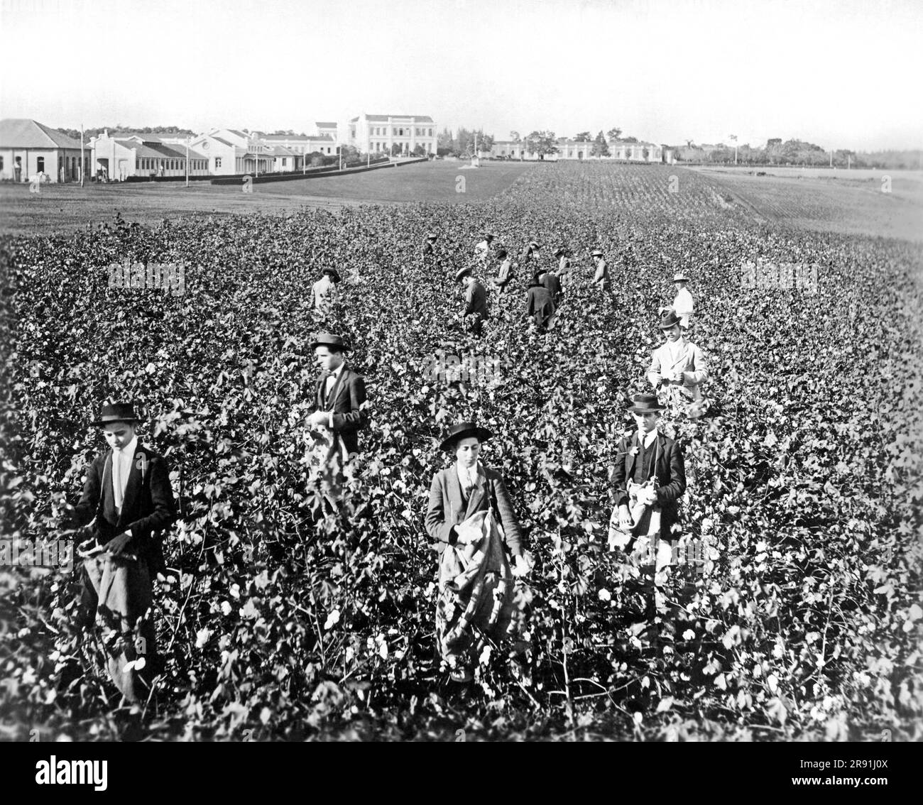 1920s farm america hi-res stock photography and images - Alamy